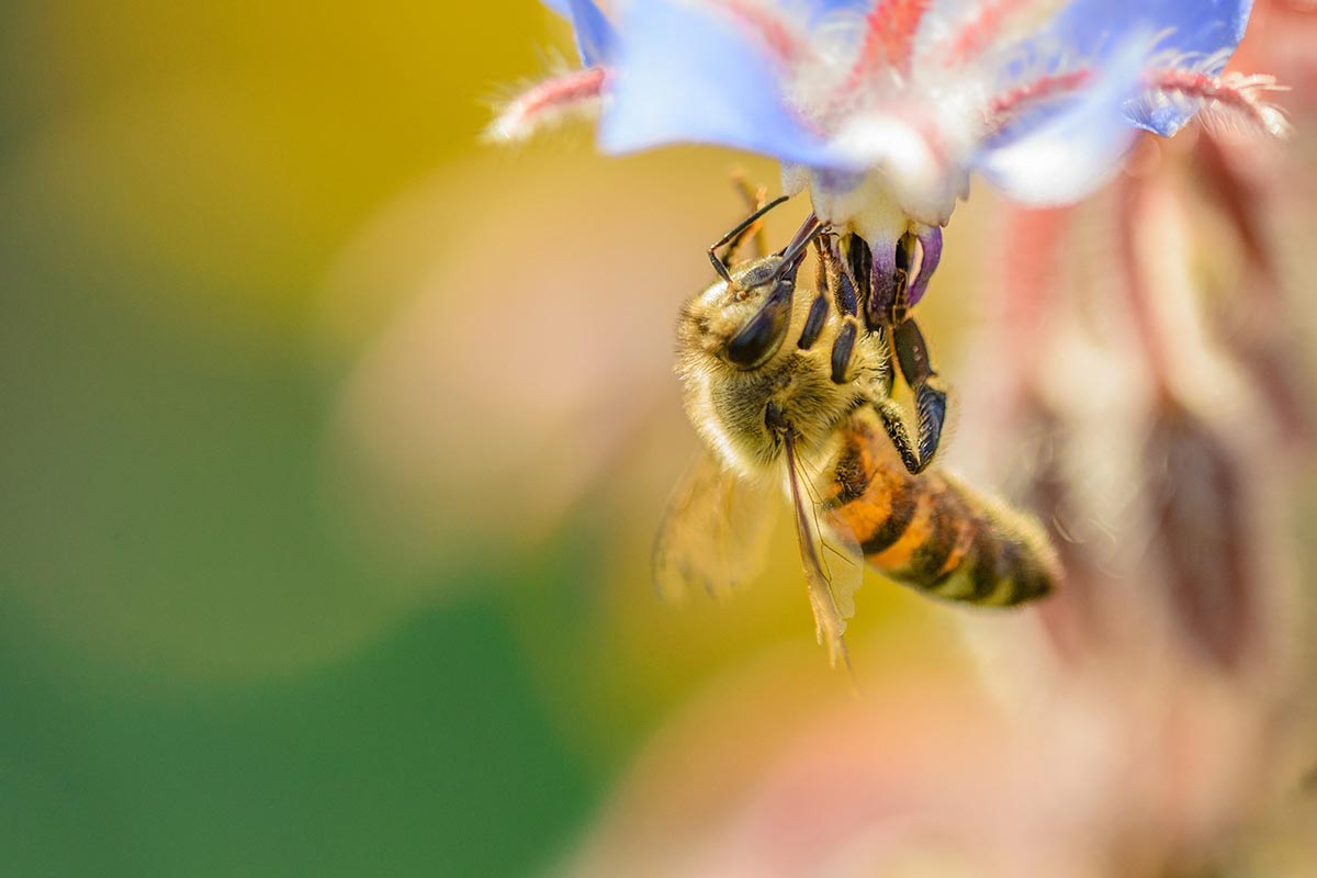 Image Gallery – Neper Ventures